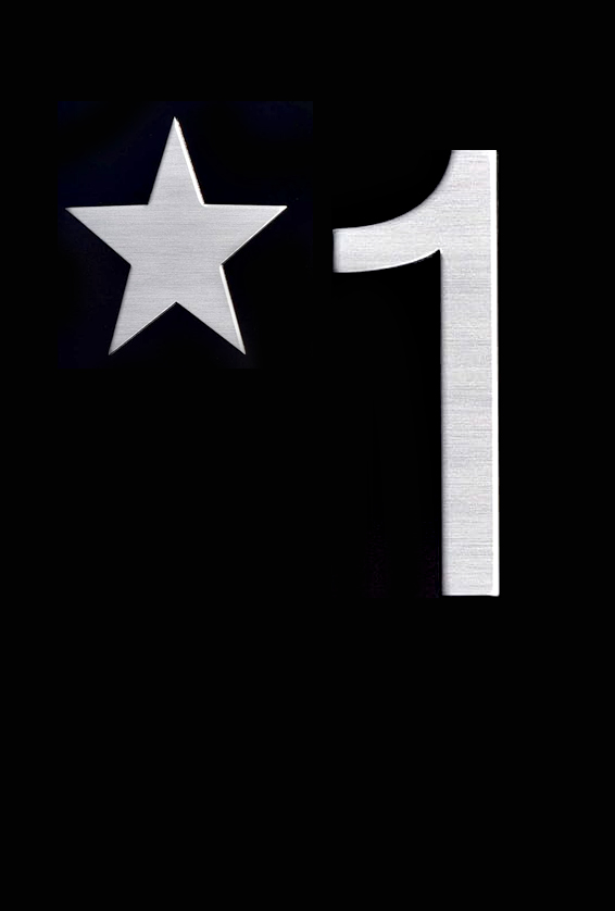 TURNSTILES.NYC – Security Turnstiles NYC New York City